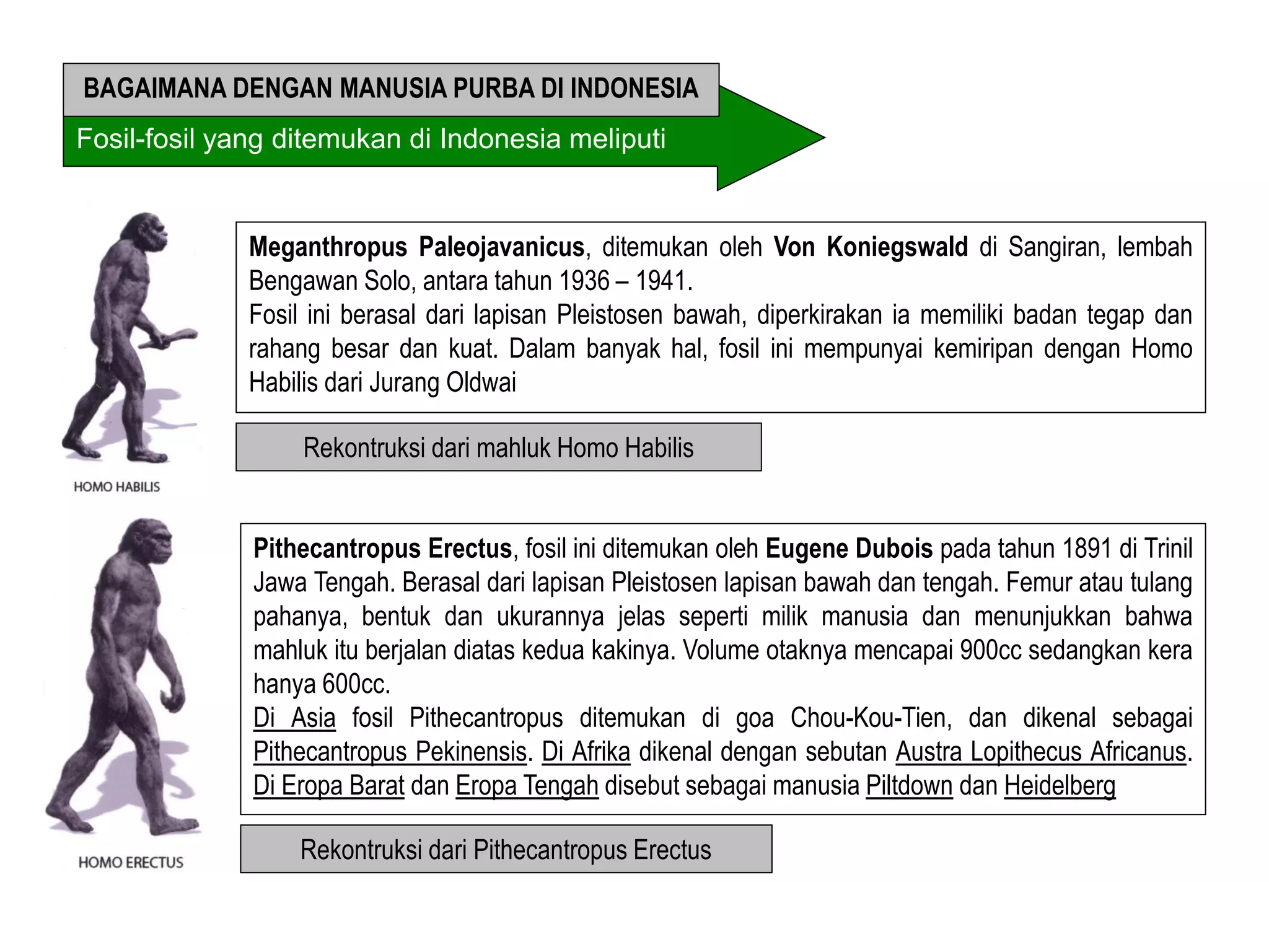 Salinan 3-manusia-purba-dan-masa-prasejarah-di-indonesia.pdf