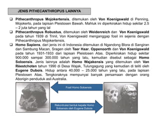Salinan 3-manusia-purba-dan-masa-prasejarah-di-indonesia.pdf