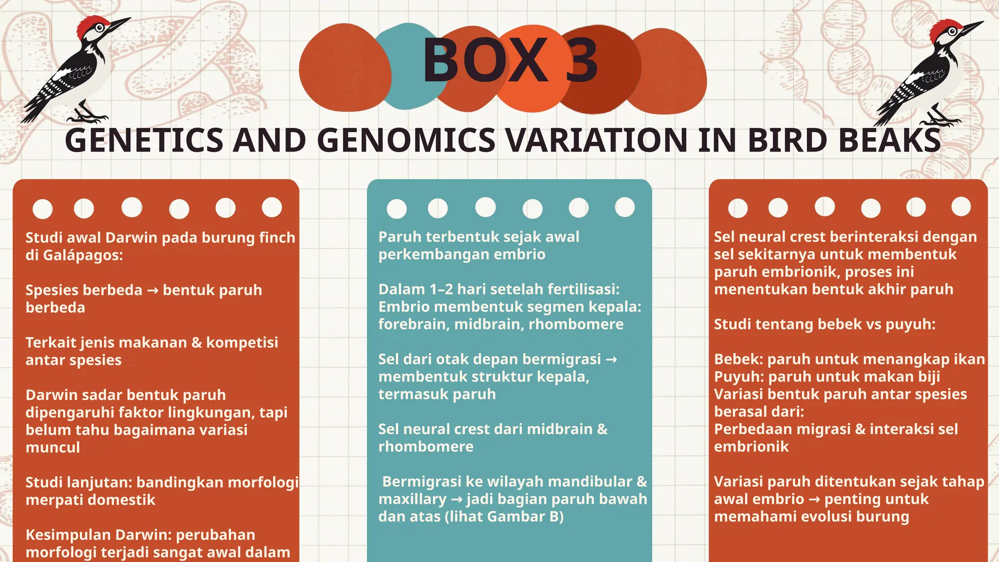 Salinan dari FISIOLOGI HEWAN - PENCERNAAN - KEL 2 KELAS B_20250919 ...