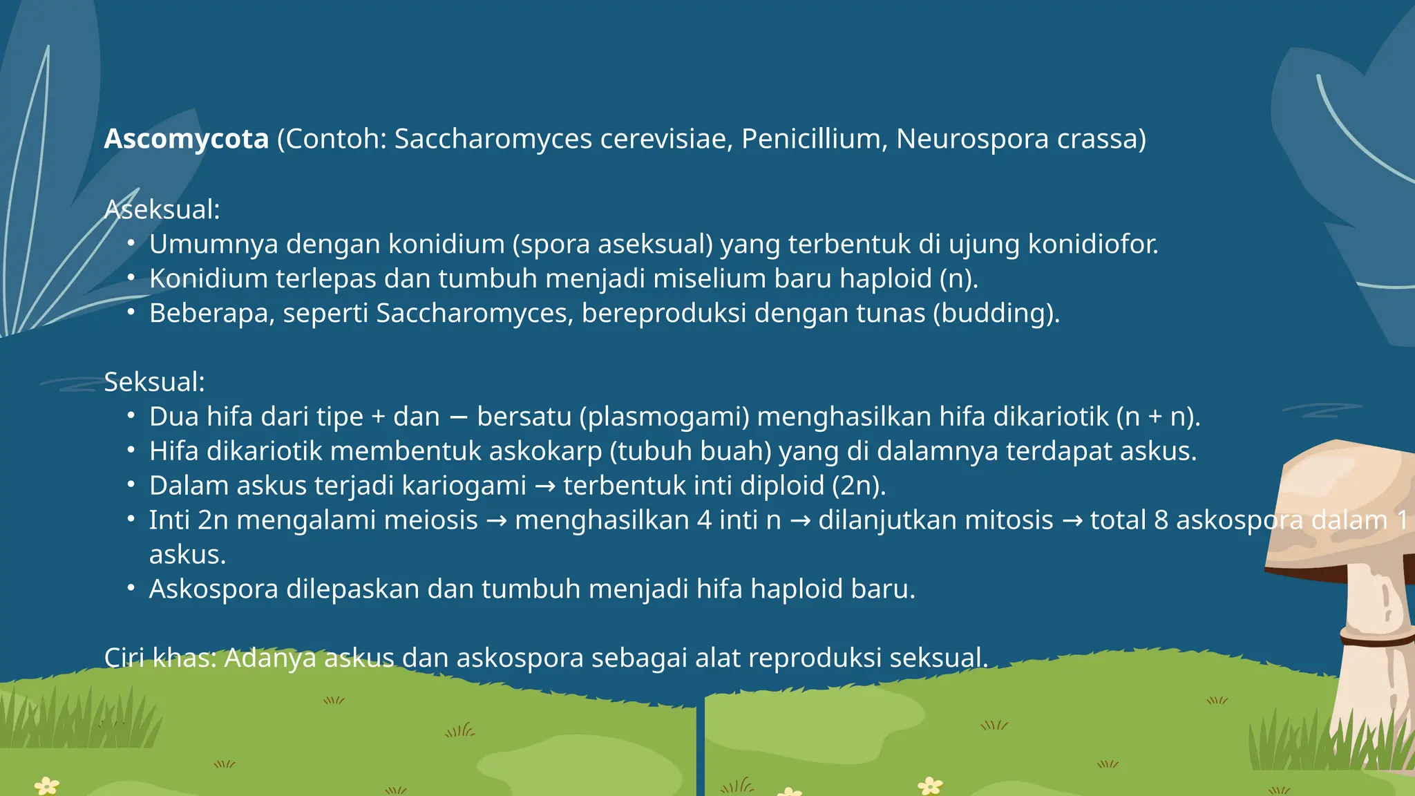 Salinan dari FUNGI MIMBAR BIOLOGI 2025 TN CIMAHI.pptx