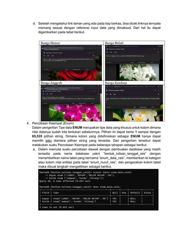Laporan Praktikum 3 Sistem Basis Data ( Data String ) | PDF