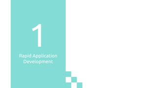 Rapid Application Development & Prototyping | PPTX