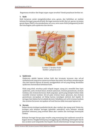 Salinan_sistem_ekskresi.pdf