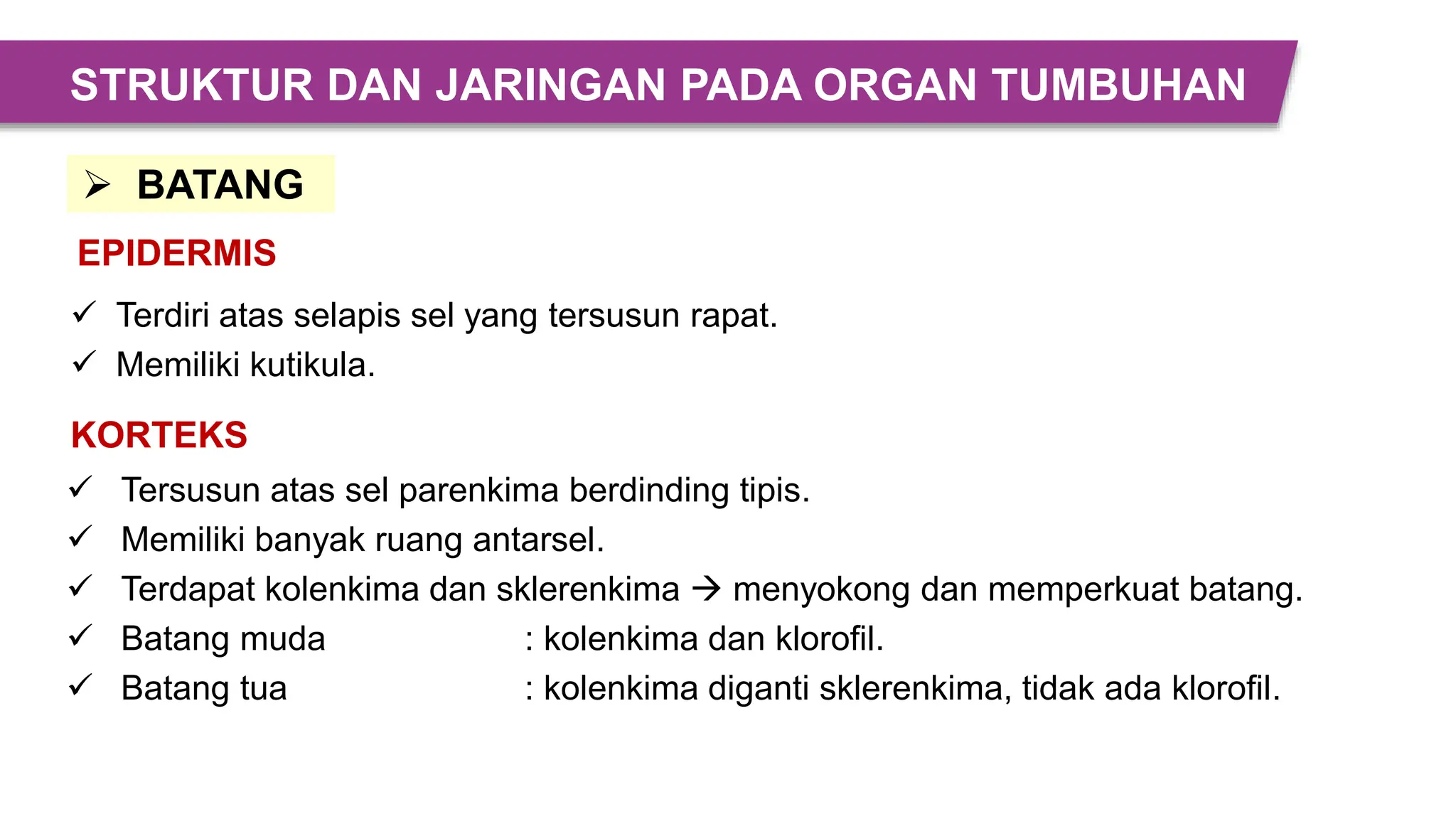 salinan Strukrur dan Fungsi Jaringan.pptx