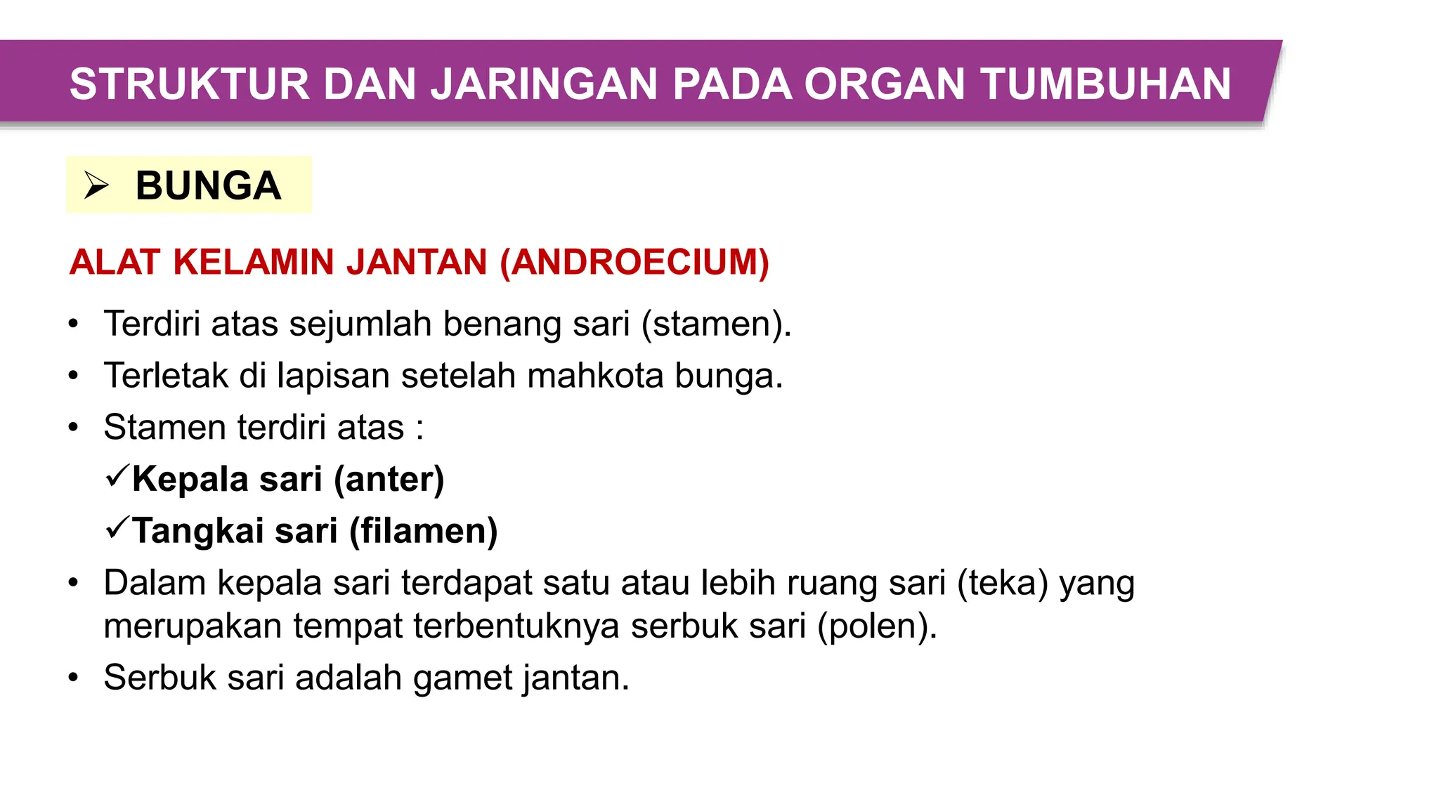 salinan Strukrur dan Fungsi Jaringan.pptx