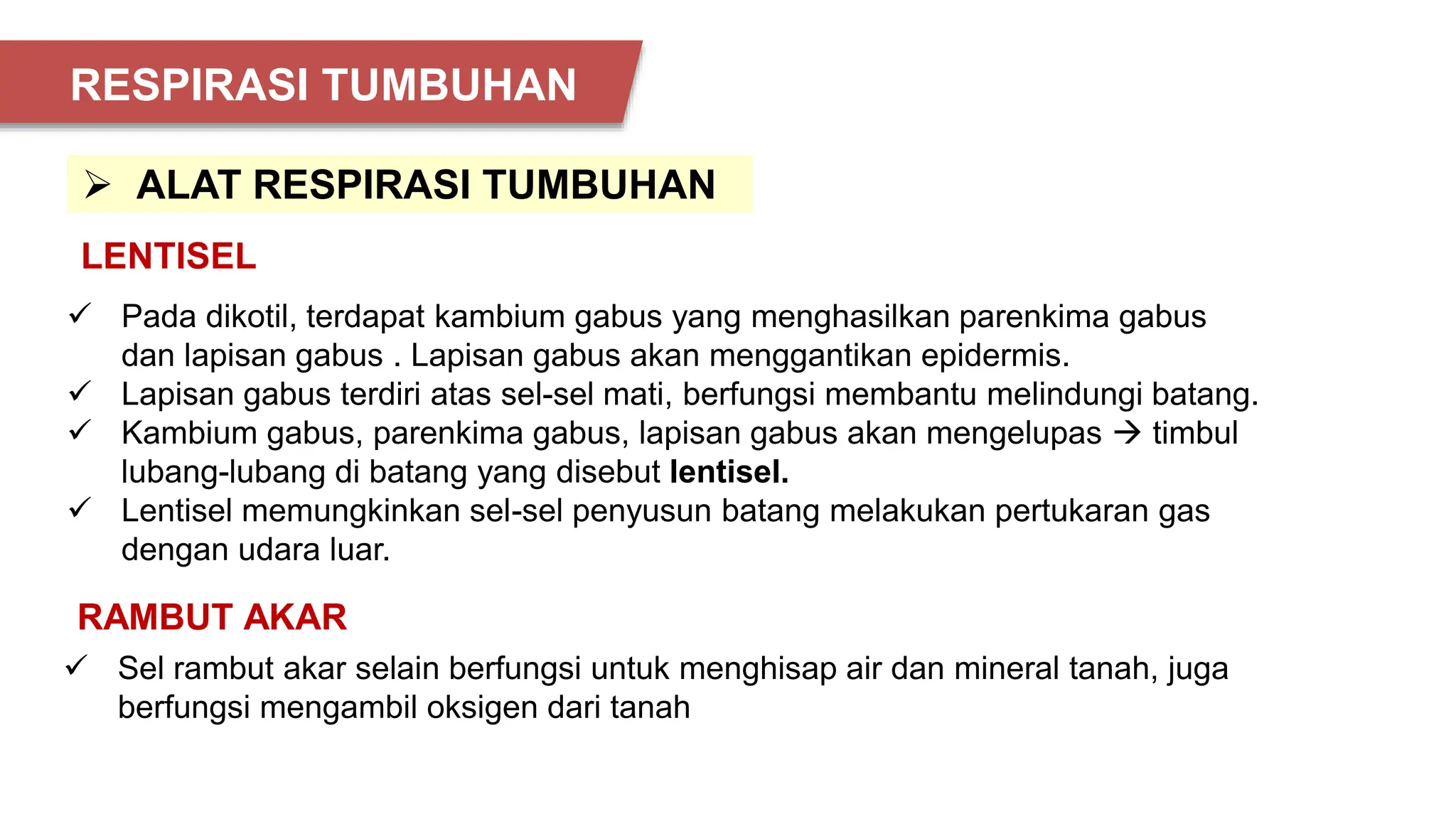 salinan Strukrur dan Fungsi Jaringan.pptx