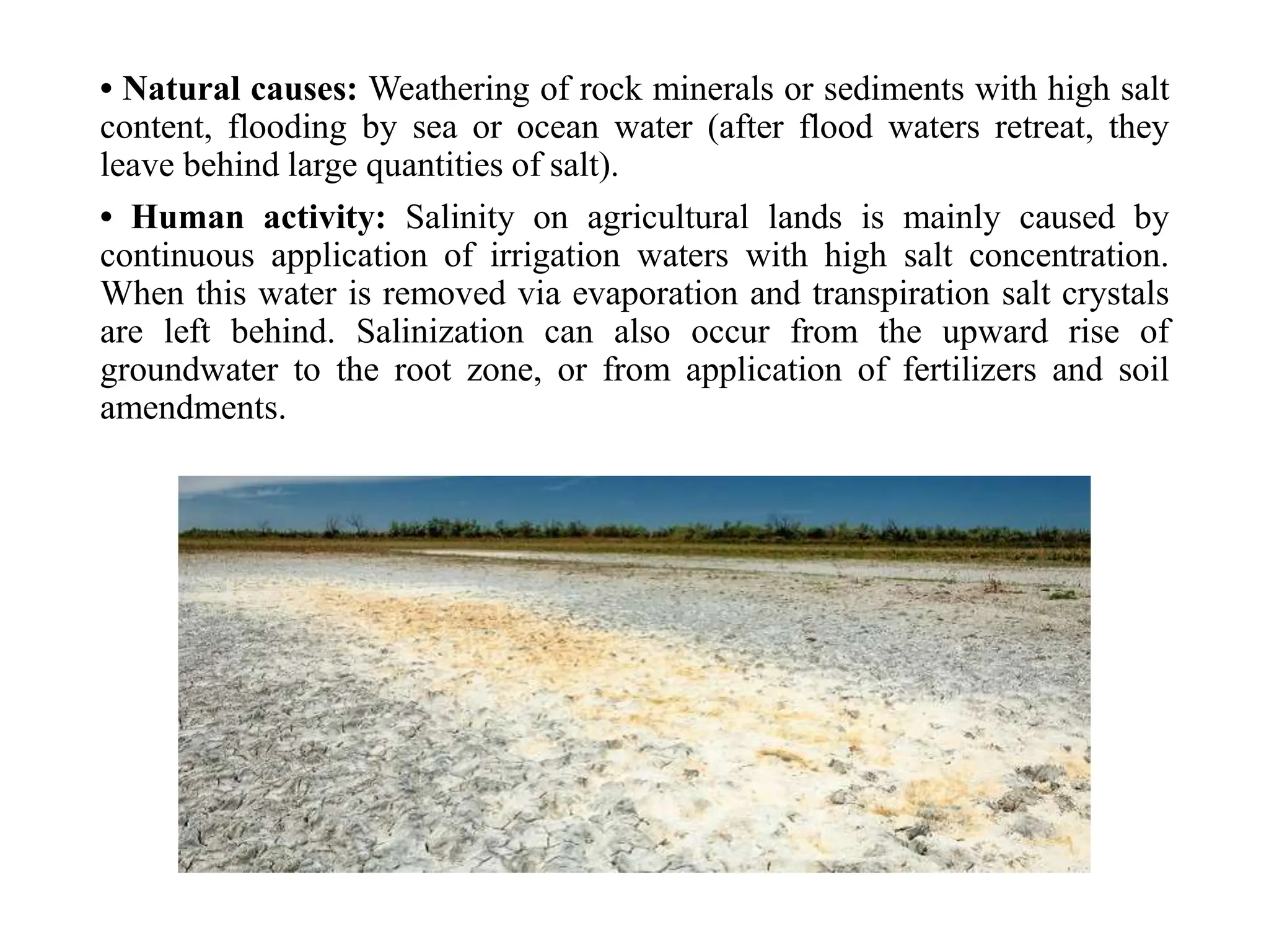 saline and alkaline properties ppt.pptx
