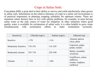 saline and alkaline properties ppt.pptx