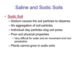 Saline And Sodic Soils | PPT