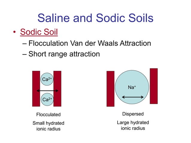 Saline And Sodic Soils | PPT