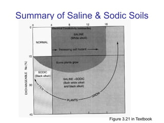 Saline And Sodic Soils | PPT