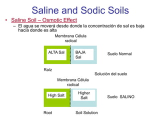Saline And Sodic Soils | PPT