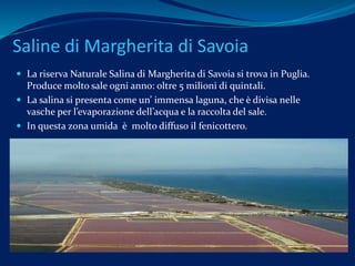 Saline d italia lina e alessia | PPTX