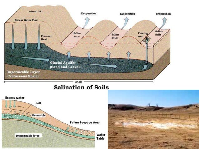 Salt Affected Soils and Their Management | PPTX | Developmental Sites ...