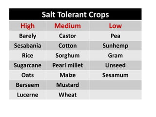 Salt Affected Soils and Their Management | PPTX