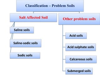 Salt Affected Soils and Their Management | PPTX