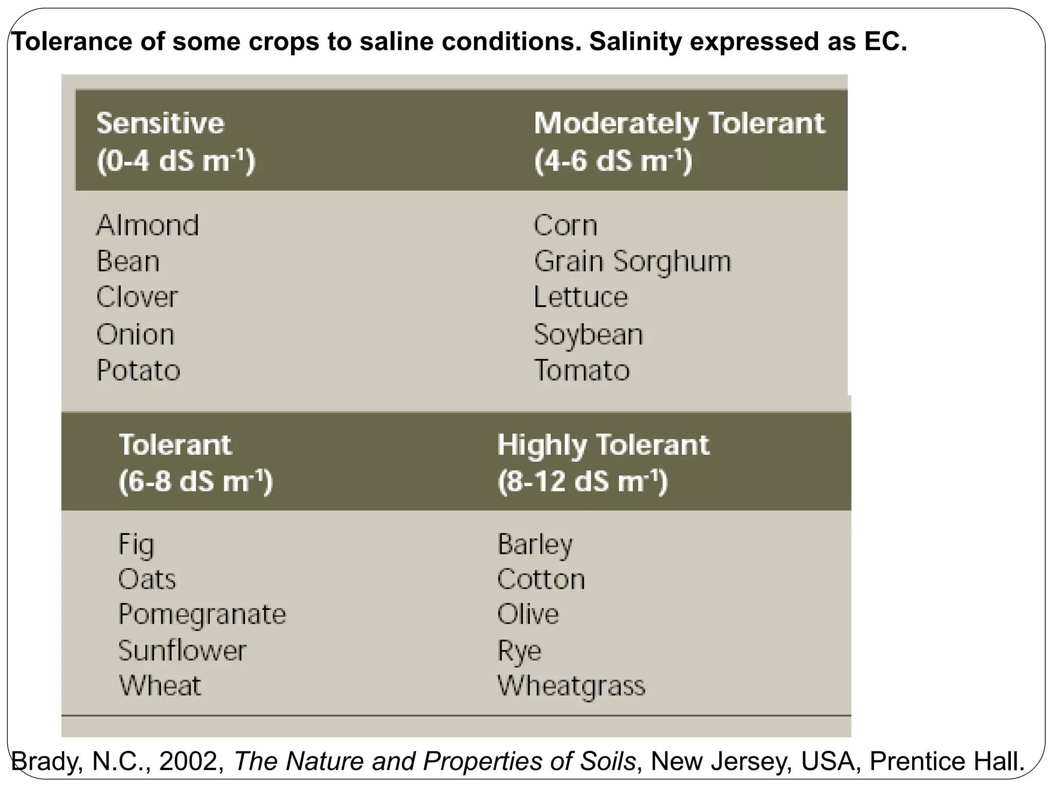 saline soil.ppt