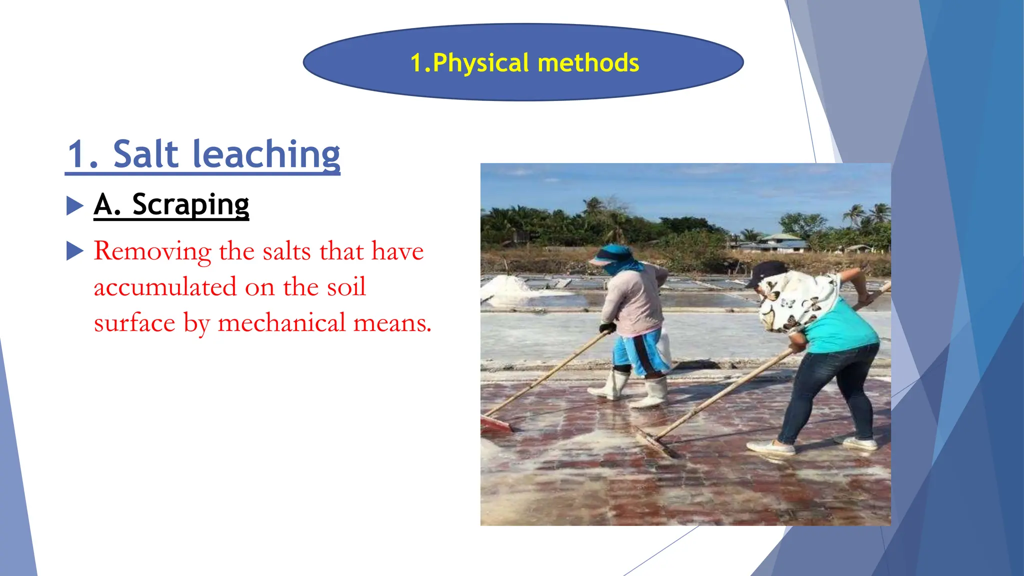 Saline Soils And Their Reclamation.pptx. | PPTX