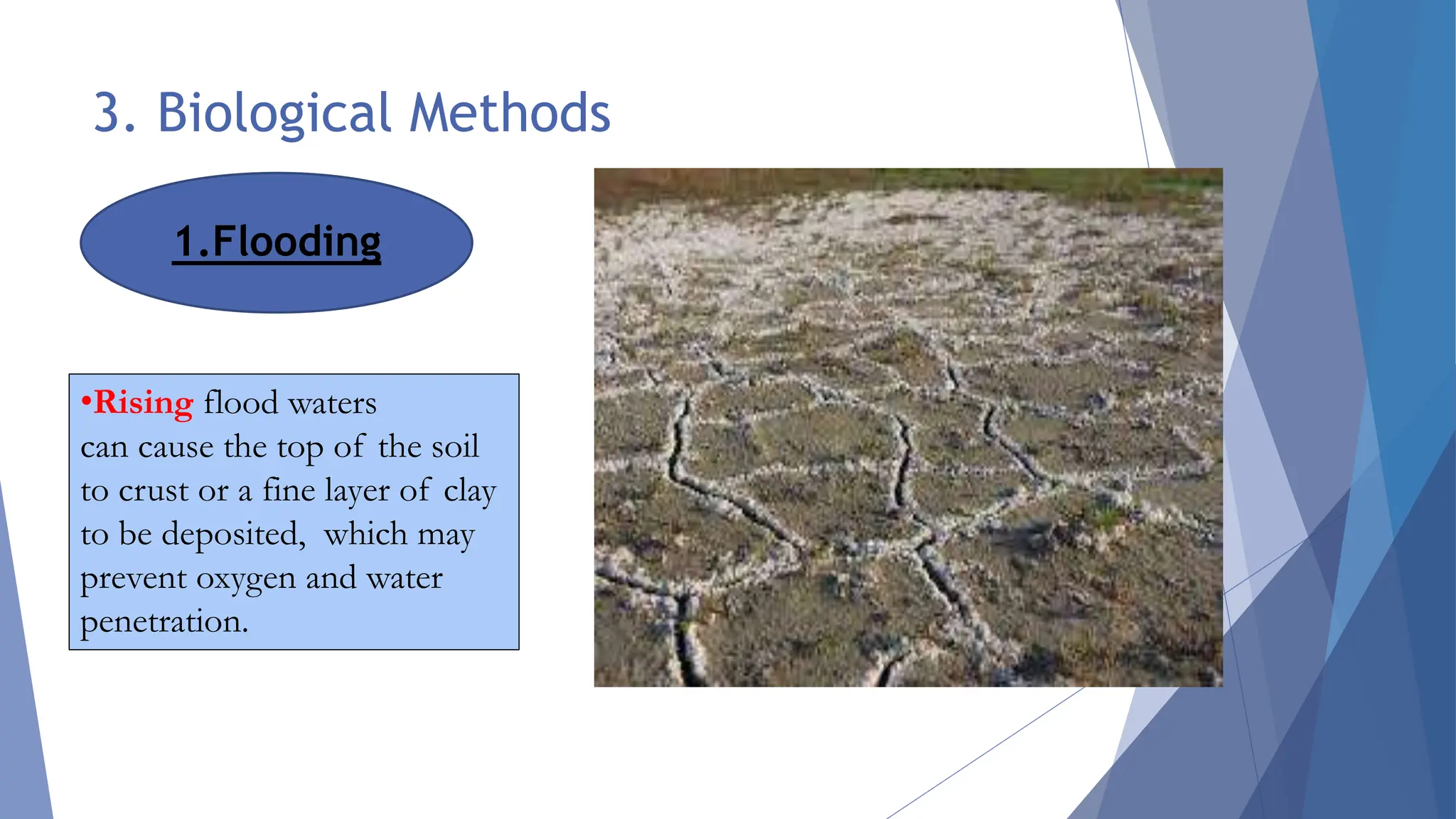 Saline Soils And Their Reclamation.pptx. | PPTX