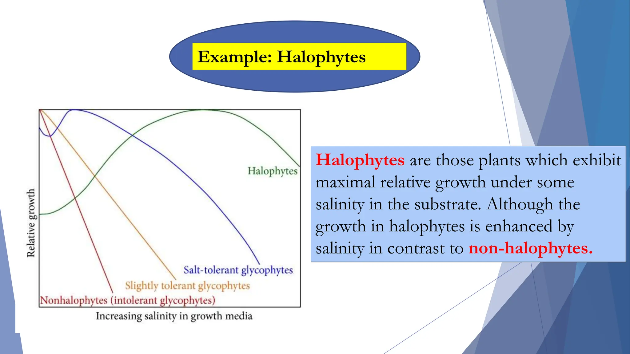Saline Soils And Their Reclamation.pptx. | PPTX