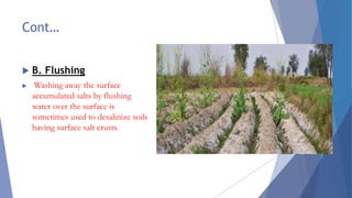 Saline Soils And Their Reclamation.pptx. | PPTX