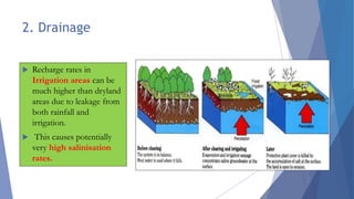 Saline Soils And Their Reclamation.pptx. | PPTX