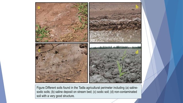 Saline Soils And Their Reclamation.pptx. | PPTX
