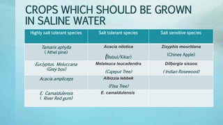 Saline water effects on agriculture | PPTX