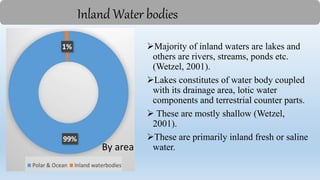 Saline wetland ecosystem | PPTX