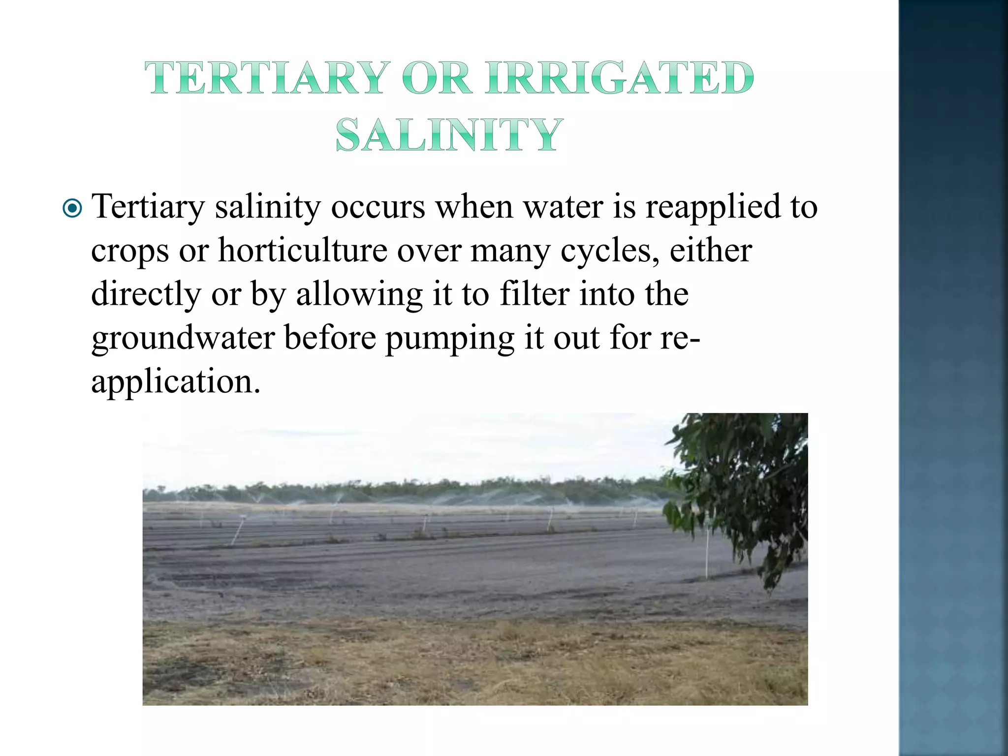 Salinity and Types of Salinity | PPTX