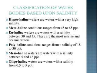 Salinity and Types of Salinity | PPTX