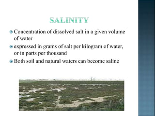 Salinity and Types of Salinity | PPTX