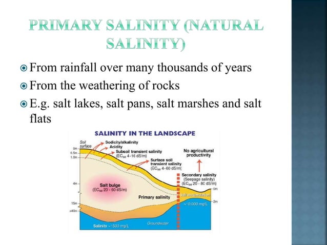 Salinity and Types of Salinity | PPTX | Agriculture | Industries