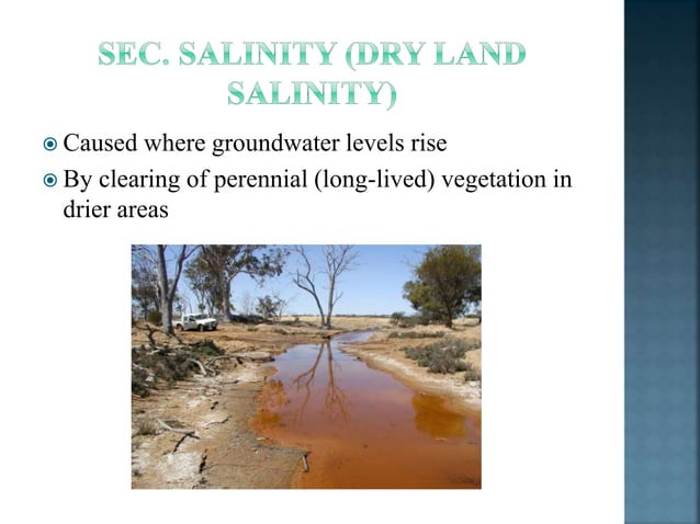 Salinity and Types of Salinity | PPTX | Agriculture | Industries