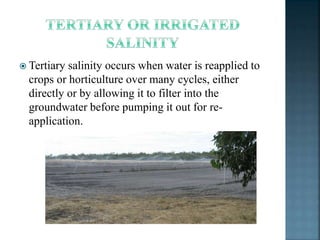 Salinity and Types of Salinity | PPTX