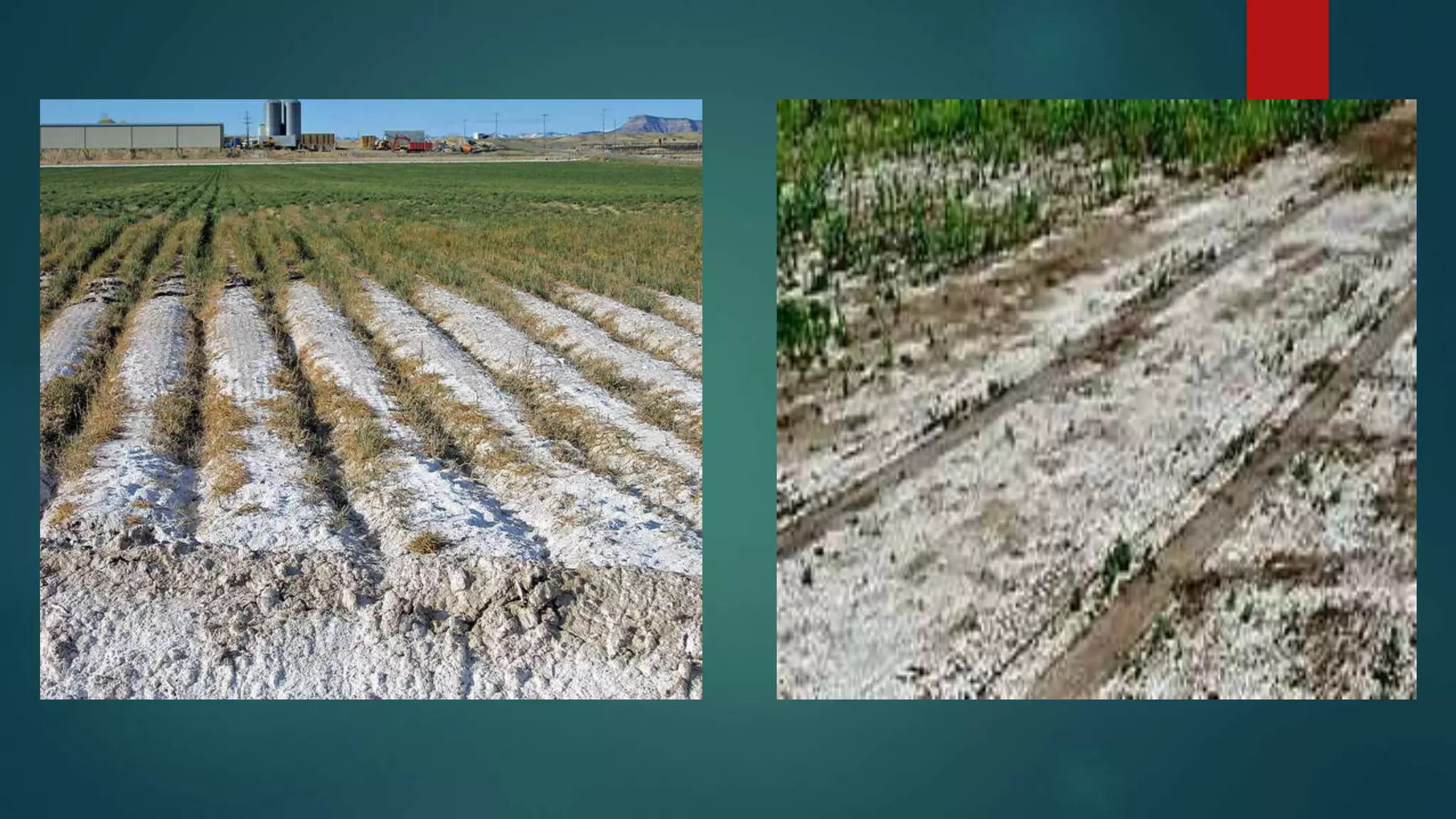 Soil Salinity.pptx