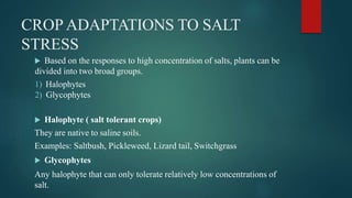 Soil Salinity.pptx