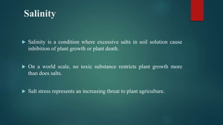 Soil Salinity.pptx