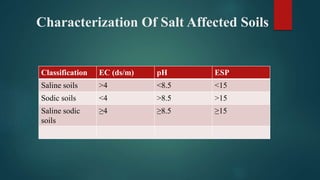 Soil Salinity.pptx