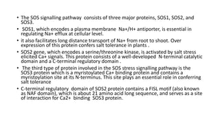 salinity- salinity stress | PPTX