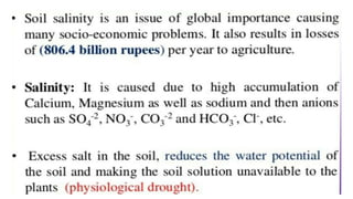 salinity- salinity stress | PPTX