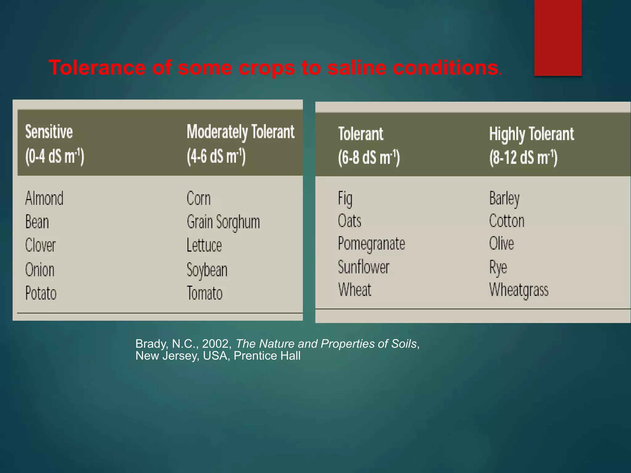 Soil Salinity by CHETHANKUMAR P | PPTX