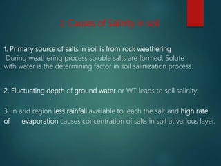 Soil Salinity by CHETHANKUMAR P | PPTX