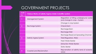 Salinity Prevention | PPTX