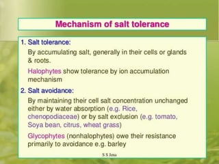 Salinity resistance breeding | PPTX
