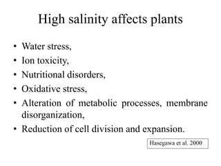 Salinity resistance breeding | PPTX
