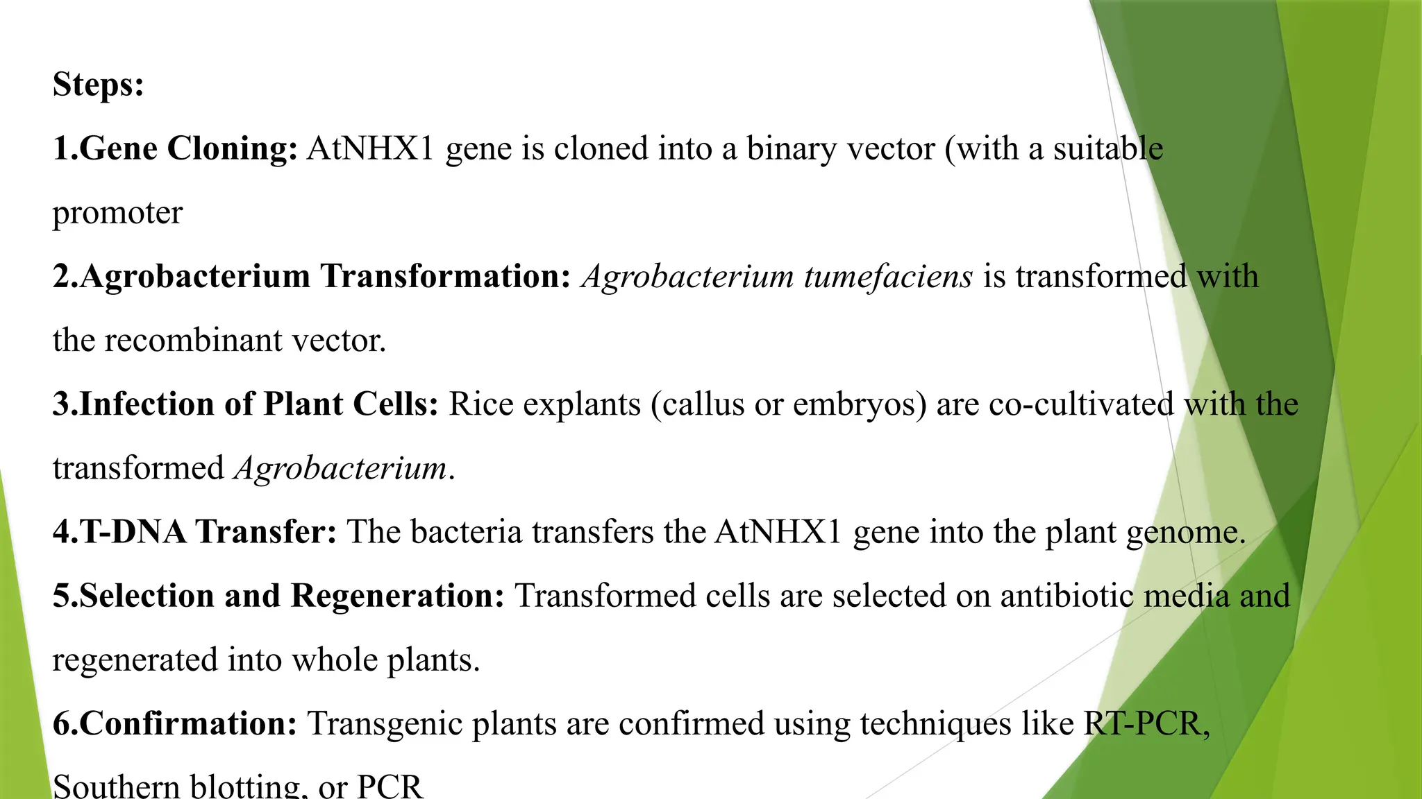 Salinity Resistance in Plants.Rice plant | PPTX