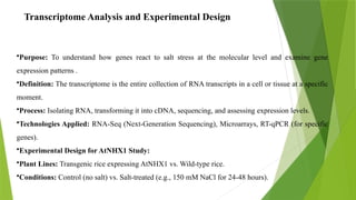 Salinity Resistance in Plants.Rice plant | PPTX
