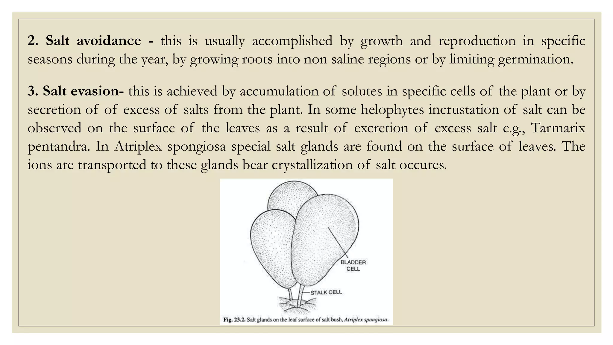 Salinity stress | PPTX