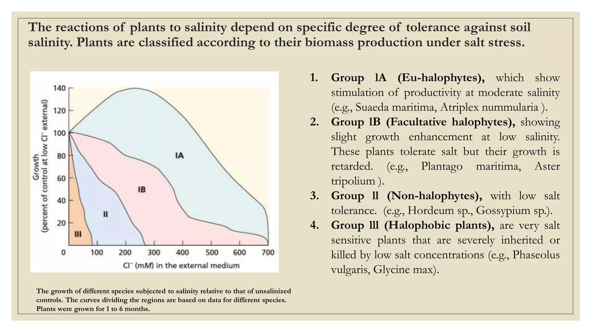 Salinity stress | PPTX